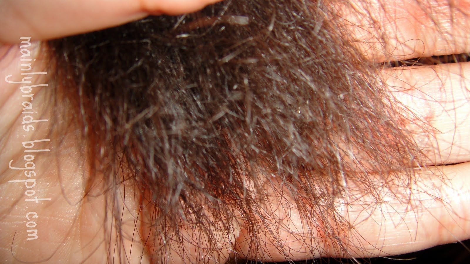 Easy Way To Get Rid Of Fried Ends On Hair Without Cutting Hair Trusper